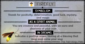 Firefly Meaning and Symbolism | The Astrology Web